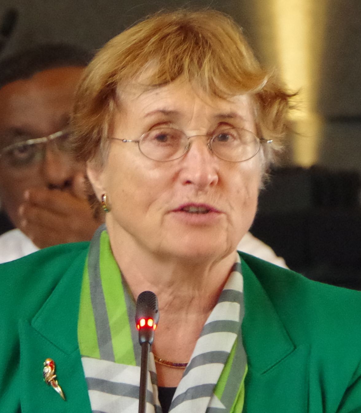 Marina Fischer-Kowalski | Resource Panel